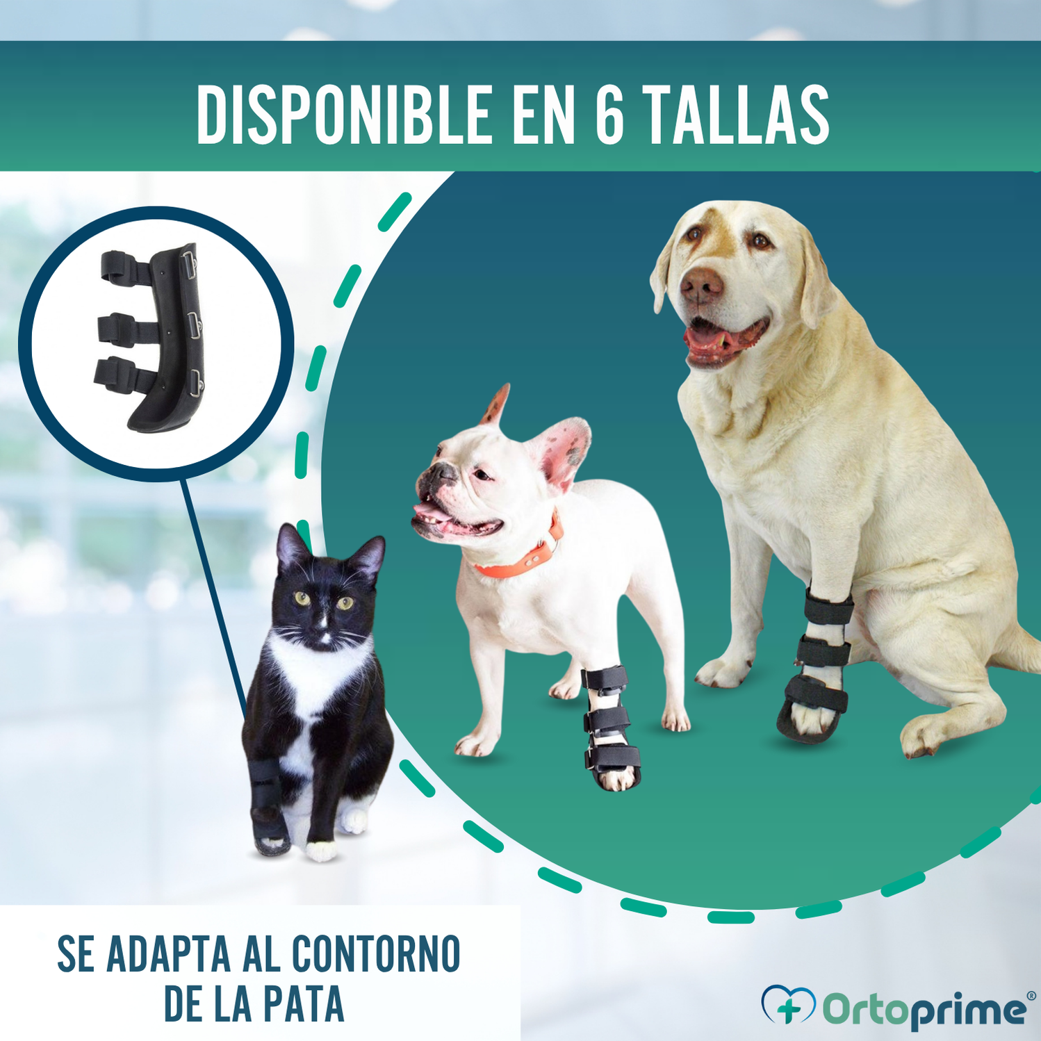 Férula Canina para Pata Delantera de Polipropileno | 6 Tallas — OrtoPrime